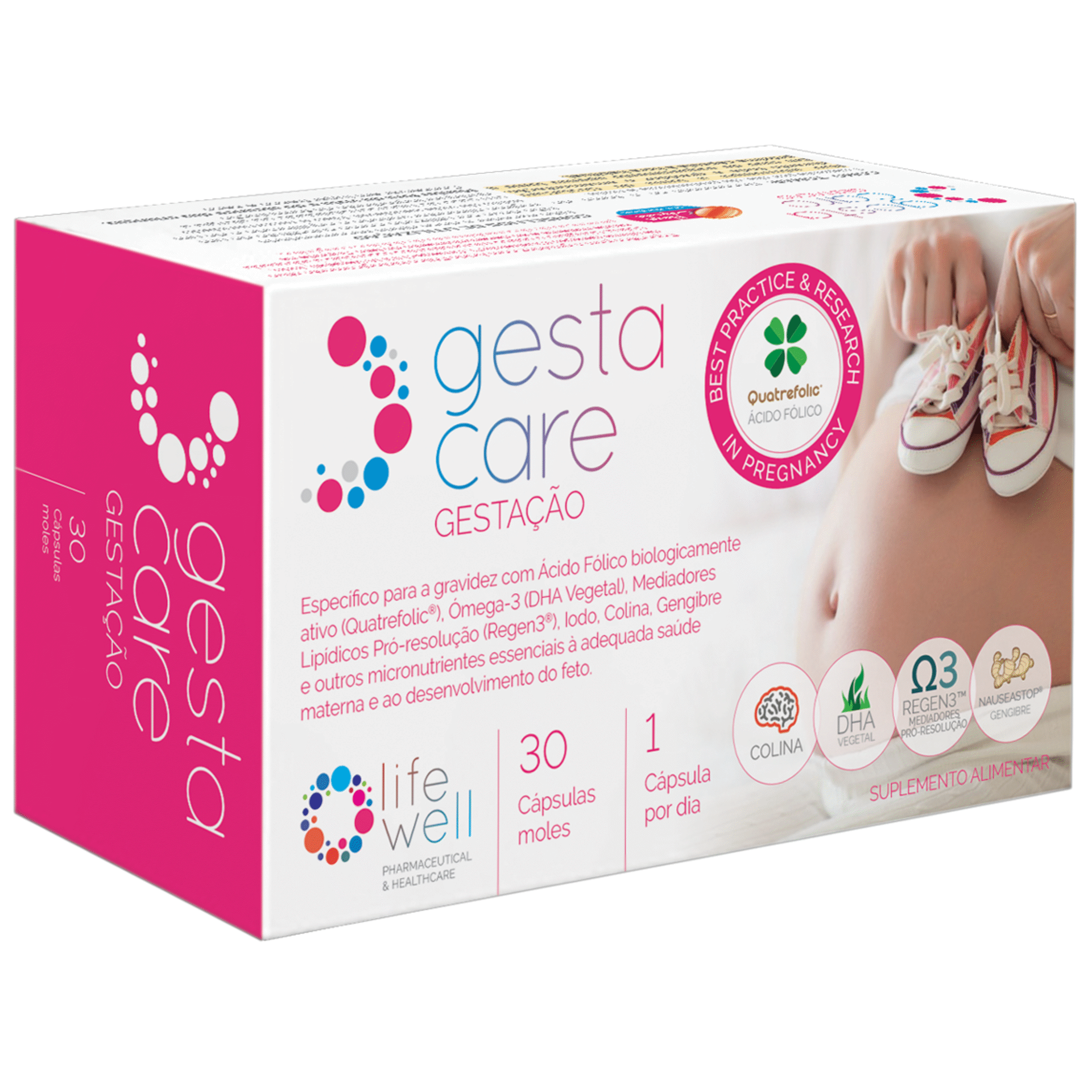 Gestacare Gestação com Ácido Fólico e Omega 3 Gestacare | Wells